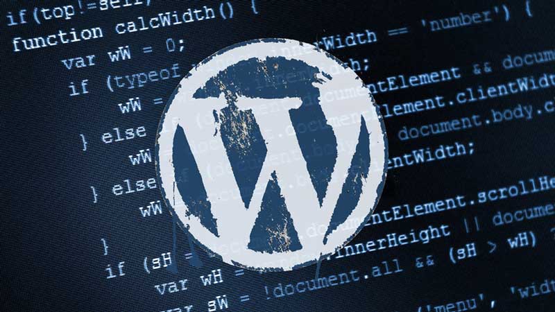 Wordpress code image NANDAABIZ